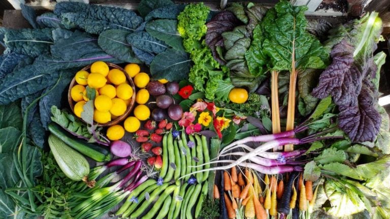 Welcome ~ Homestead and Chill