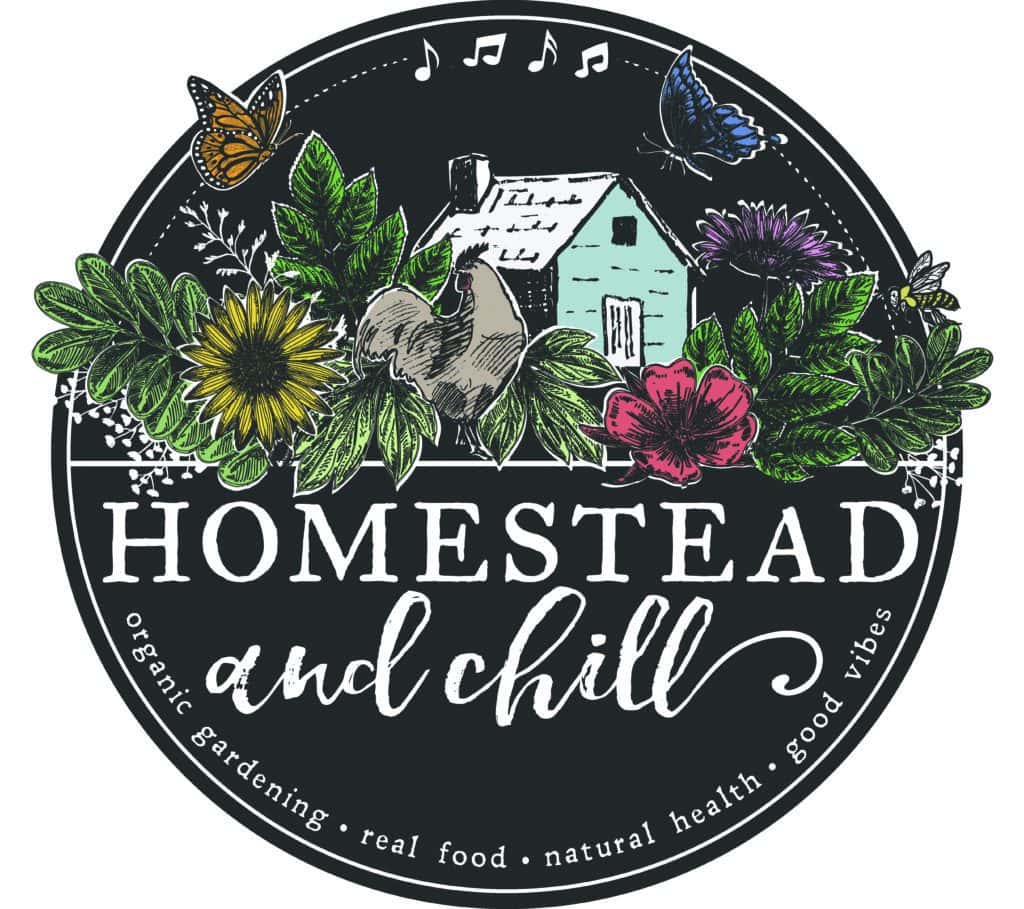 Unisex H&C Organic Cotton Tee ~ Black Enclosed Logo ~ Homestead and Chill