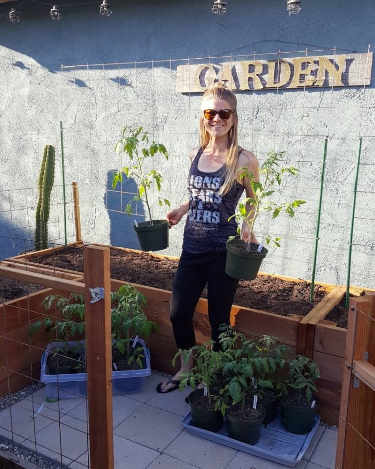 Hardening Off Seedlings to Prevent Transplant Shock ~ Homestead and Chill