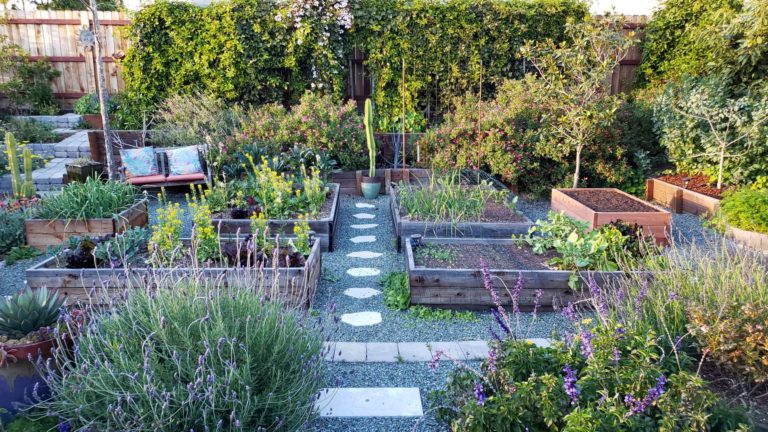 How To Start A Garden: 101 ~ Homestead and Chill