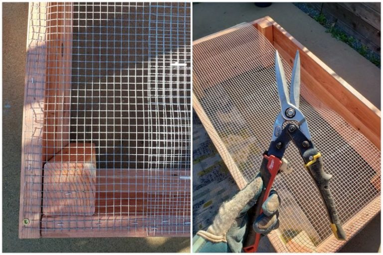 How to Build a Raised Garden Bed: Step-by-Step Guide ~ Homestead and Chill
