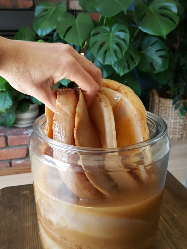 How to Make Kombucha 101: Kombucha Recipe and Brewing Basics ...