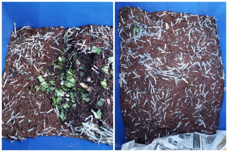 Vermicomposting 101: How to Make & Maintain a Simple Worm Bin ...