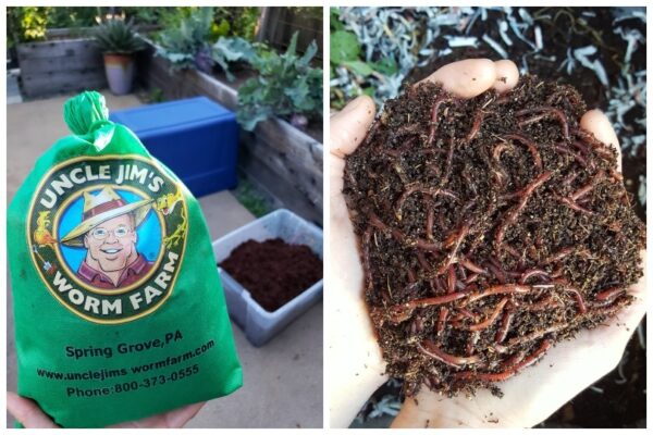 Vermicomposting 101: How to Make & Maintain a Simple Worm Bin ...