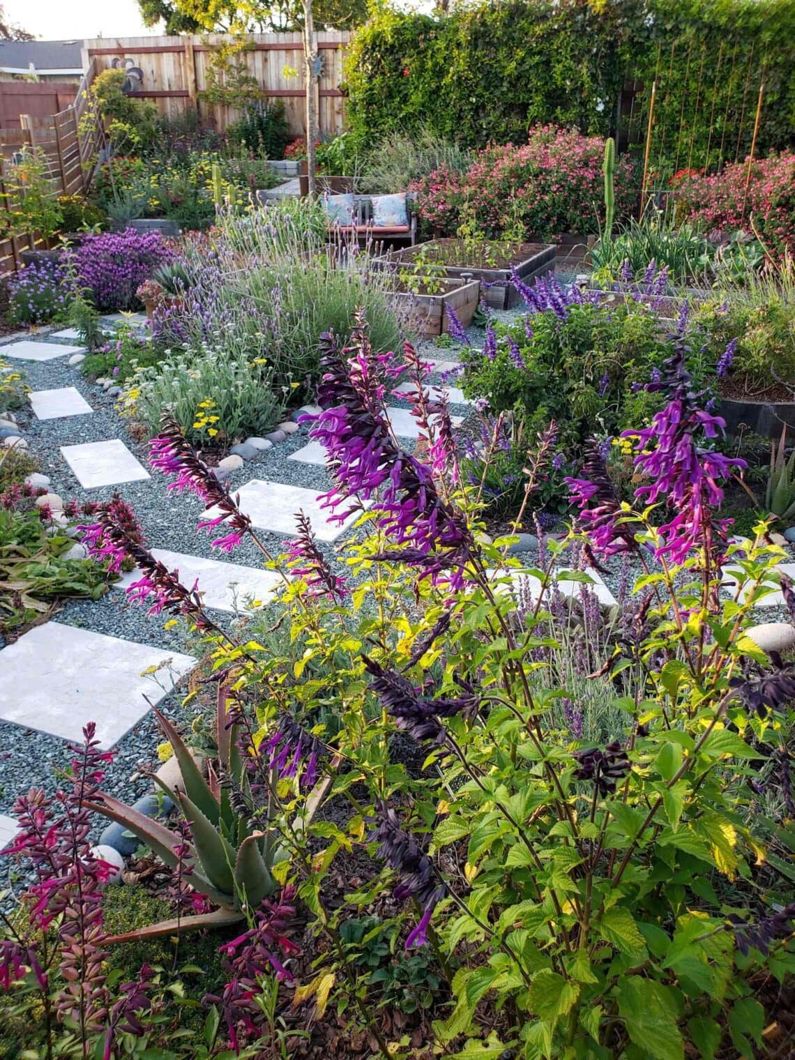 23 Best Pollinator Garden Plants for Bees, Butterflies and Hummingbirds ...