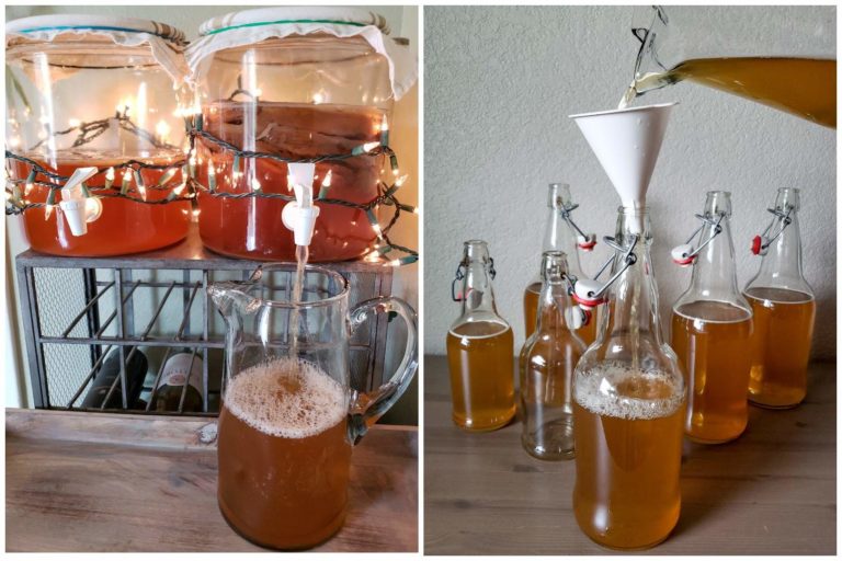 How to Make Kombucha 101: Kombucha Recipe and Brewing Basics ...