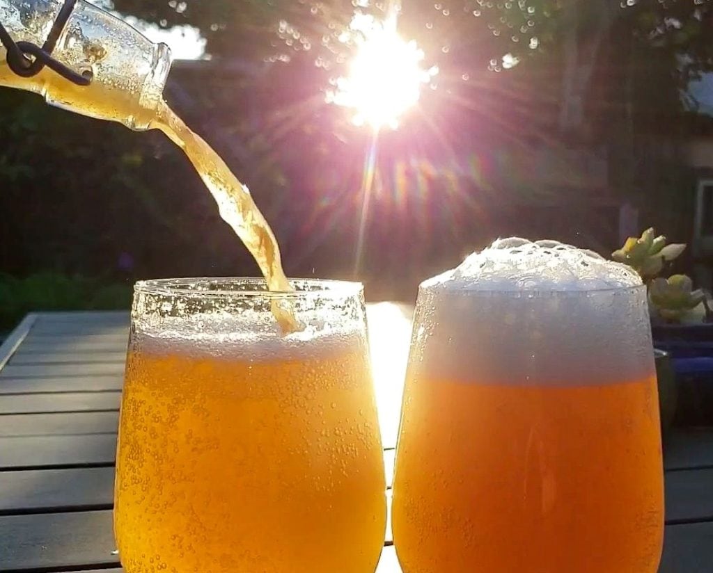 The 18 Best Seasonal Homemade Kombucha Flavors for Second Ferment ...