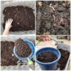 How to Harvest Worm Castings from a Simple Worm Compost Bin ~ Homestead ...