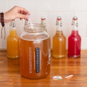 How to Make Kombucha 101: Kombucha Recipe and Brewing Basics ...