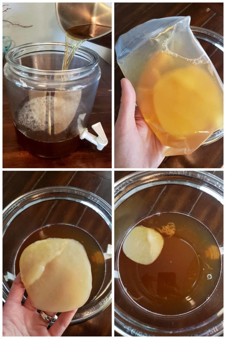 How to Make Kombucha 101: Kombucha Recipe and Brewing Basics ~ Homestead and Chill
