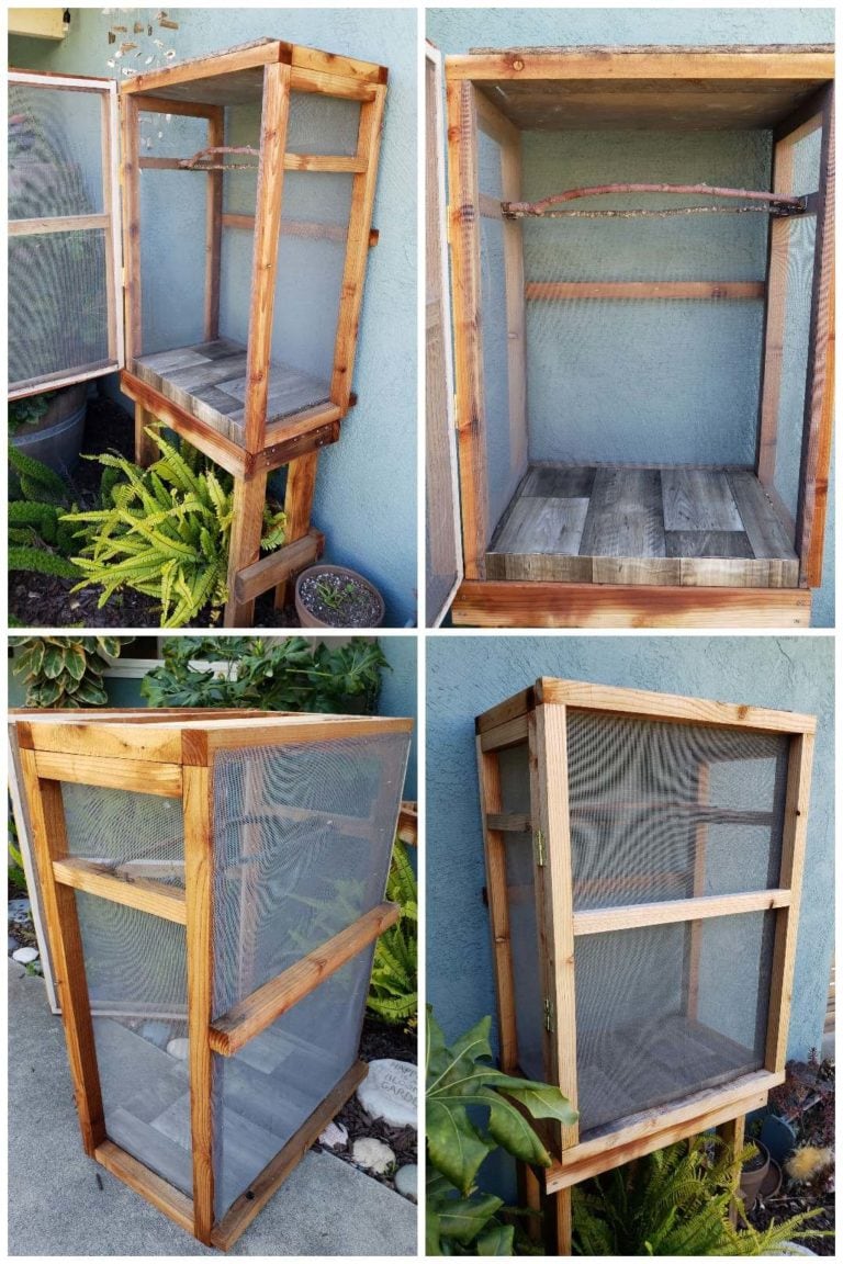 All About Monarchs: How to Attract, Raise, & Release Monarch ...