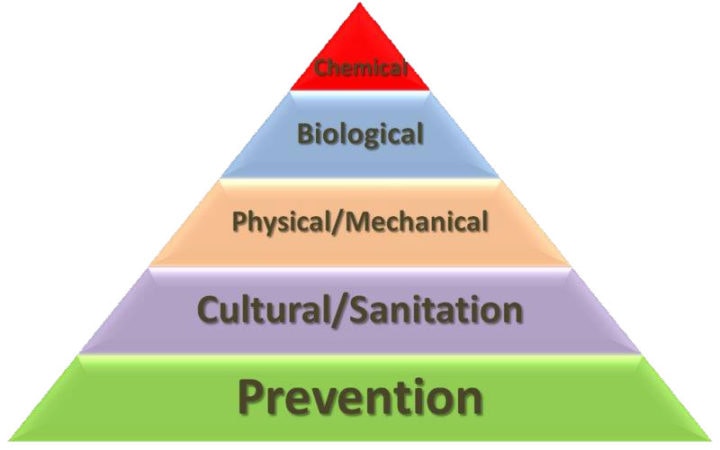 Organic Pest Control, Part 1: How to Prevent Pests in the Garden ...