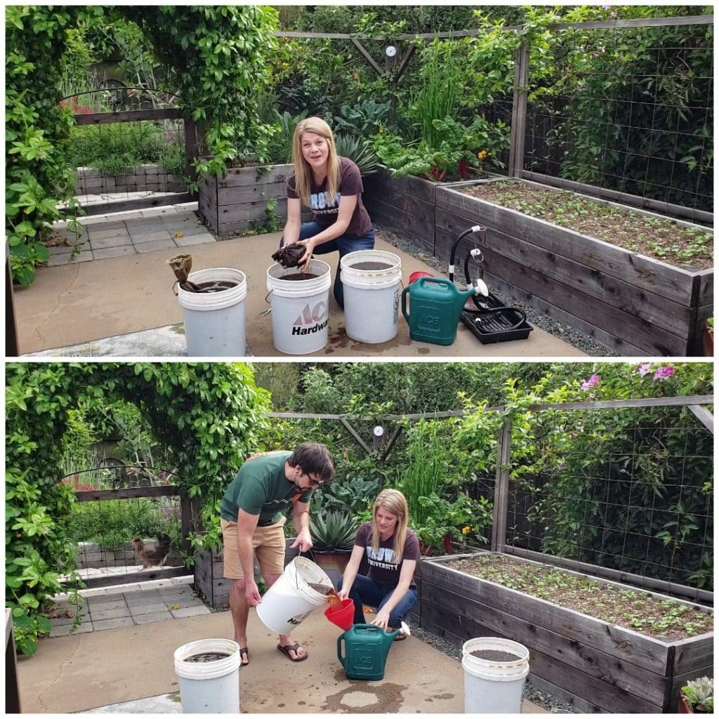 How to Make Compost Tea to Fertilize Your Garden (Aerated) ~ Homestead ...