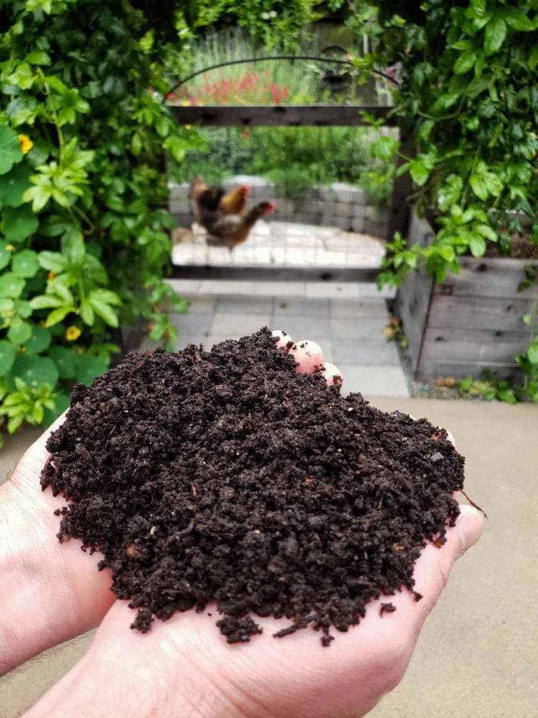 How to Make Compost Tea to Fertilize Your Garden (Aerated) ~ Homestead ...