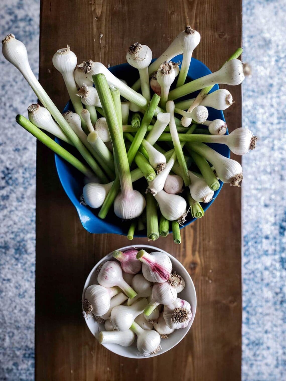 What Is Green Garlic? 6 Ways to Use or Preserve It ~ Homestead and Chill
