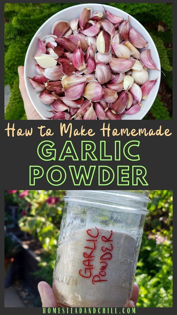 Preserving Garlic: How to Make Homemade Garlic Powder ~ Homestead and Chill