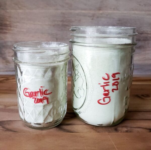 Green Garlic: What Is It? Plus 7 Ways to Use or Preserve It ~ Homestead ...