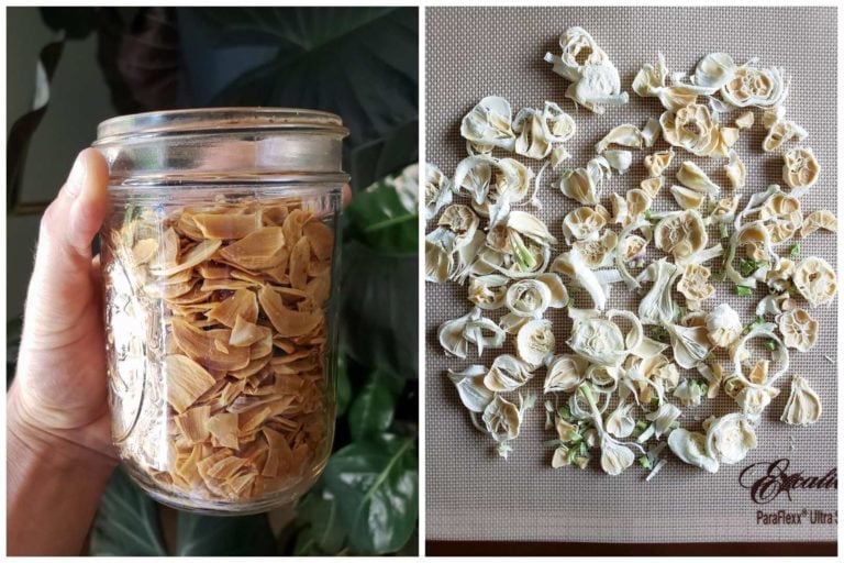 Preserving Garlic: How to Make Homemade Garlic Powder ~ Homestead and Chill