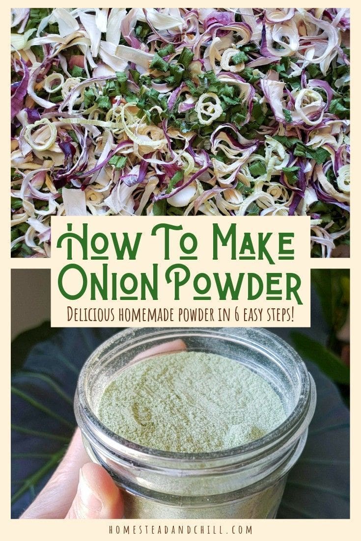 Preserving Onions: How to Make Onion Powder in 6 Easy Steps ...