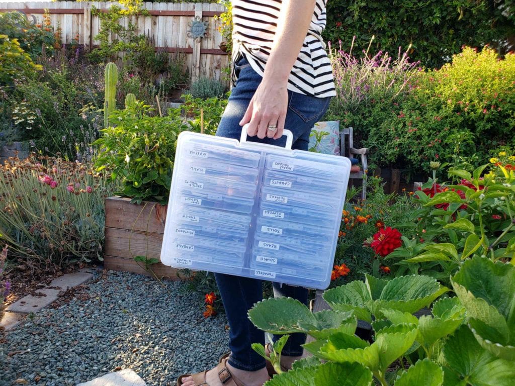 Seed Storage: The Best Way to Store and Organize Garden Seeds ...
