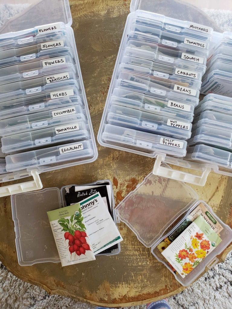 Seed Storage: The Best Way to Store and Organize Garden Seeds ...