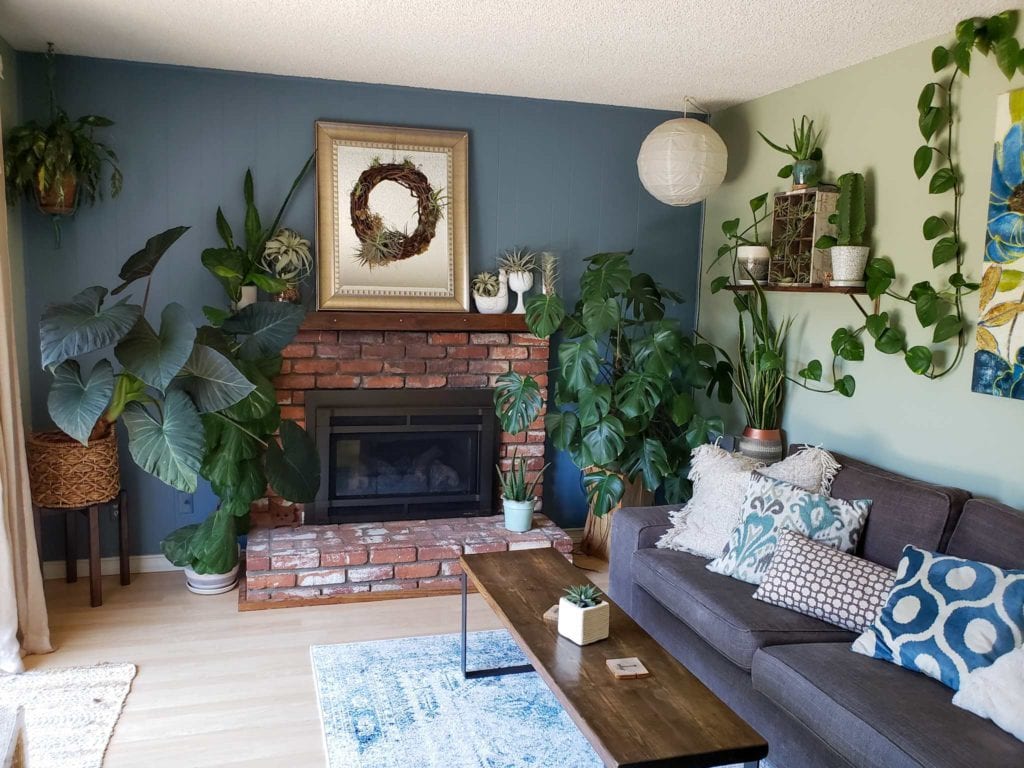 Houseplant Care 101: The Ultimate Guide to Happy & Healthy Indoor ...