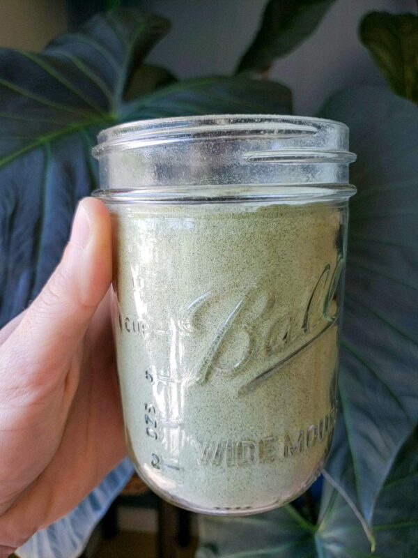 Preserving Onions: How to Make Onion Powder in 6 Easy Steps ...