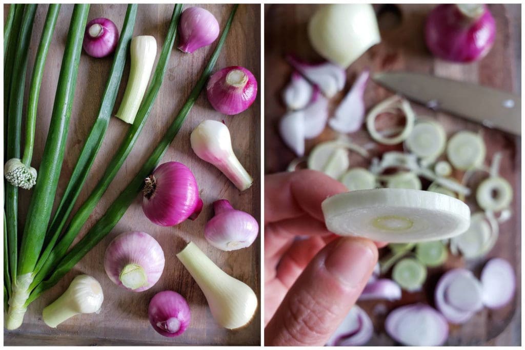 Preserving Onions: How to Make Onion Powder in 6 Easy Steps ...