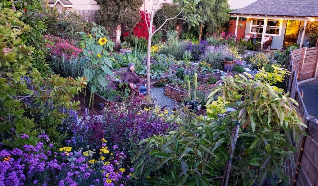 How to Turn Your Yard or Garden into a Certified Wildlife Habitat ...