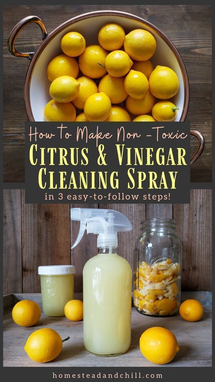 How to Make Homemade Lemon Vinegar Cleaning Spray: Natural, Non-Toxic ...