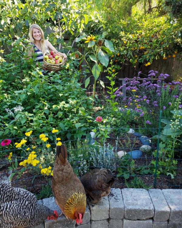 How to Start a Homestead: 9 Must-Read Tips for New Homesteaders ...