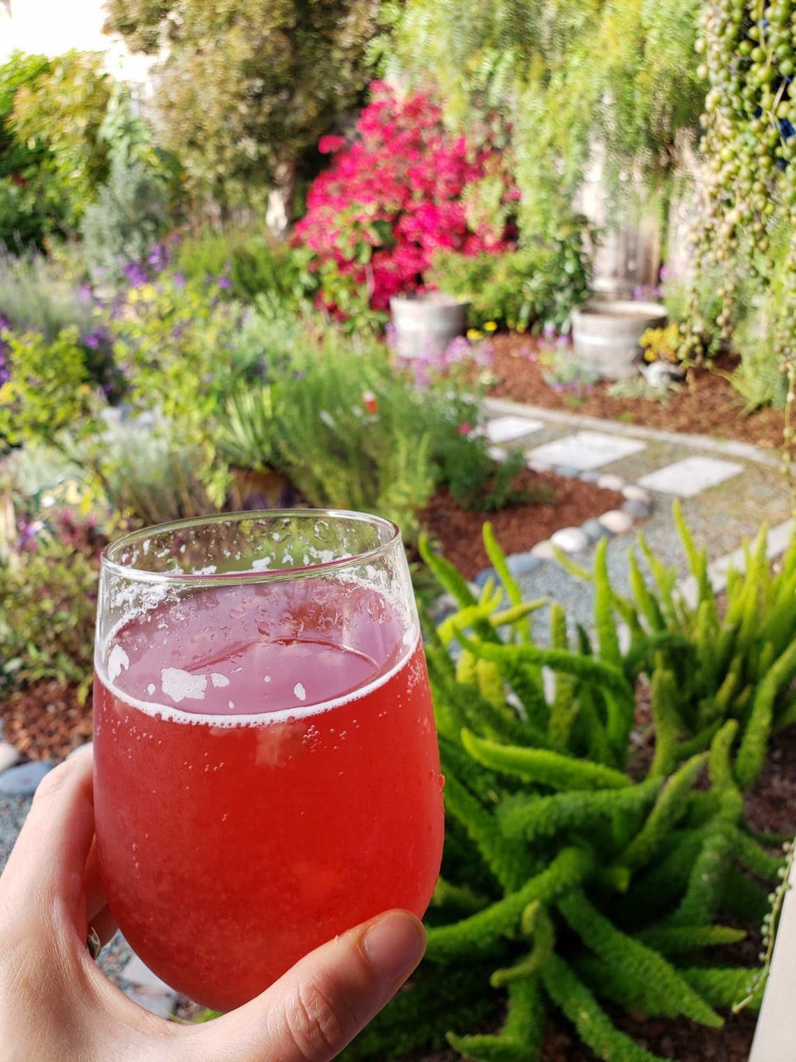 How to Make Kombucha 101: Kombucha Recipe and Brewing Basics ...