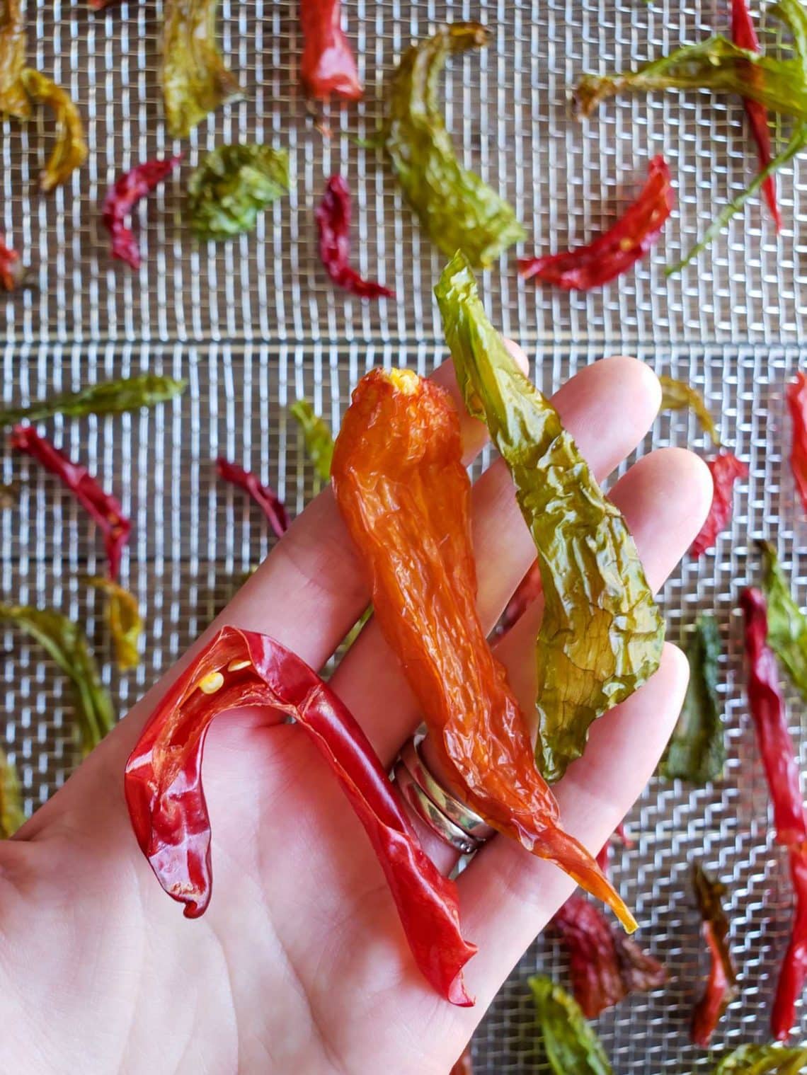 How to Make Homemade Chili Powder in 4 Simple Steps (Dried Chili ...
