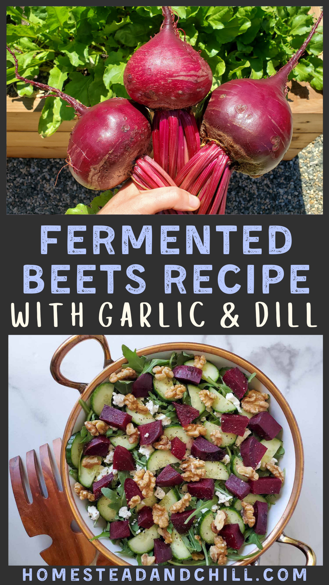 Simple Fermented "Pickled" Beets Recipe with Dill and Garlic ...