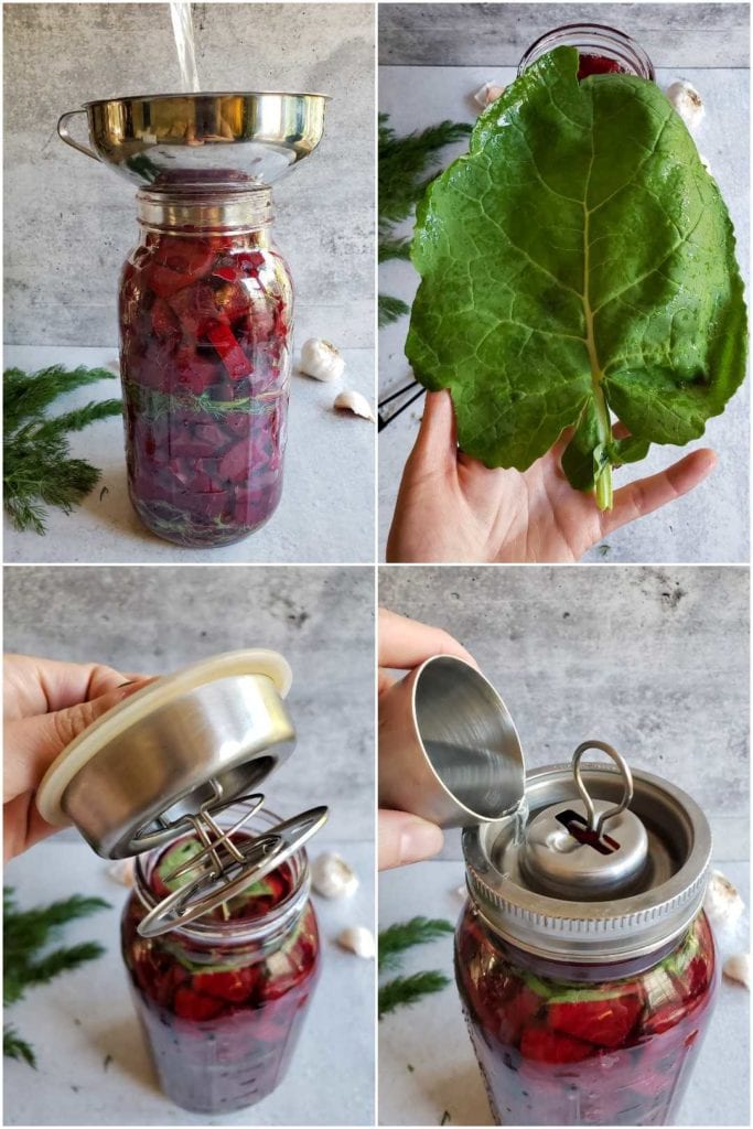Simple Fermented "Pickled" Beets Recipe with Garlic & Dill ~ Homestead ...