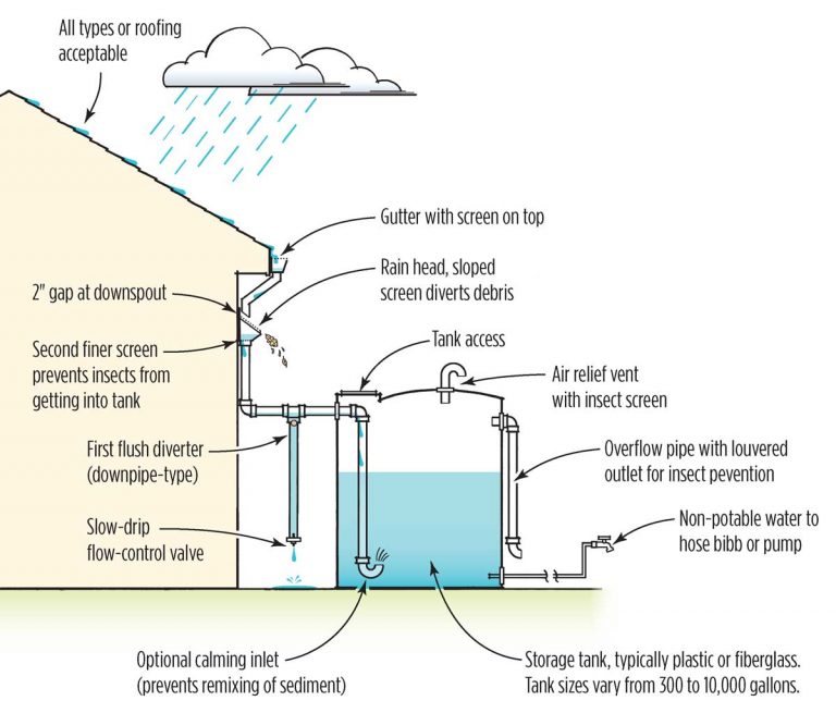 Rainwater Collection Systems 101: How to Harvest Rainwater at Home ...
