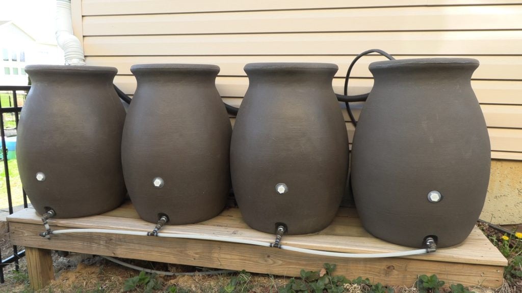 Rainwater Collection Systems 101: How to Harvest Rainwater at Home ...