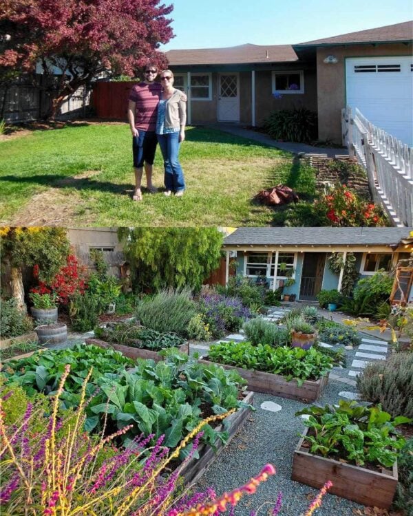 How to Start a Homestead: 9 Must-Read Tips for New Homesteaders ...