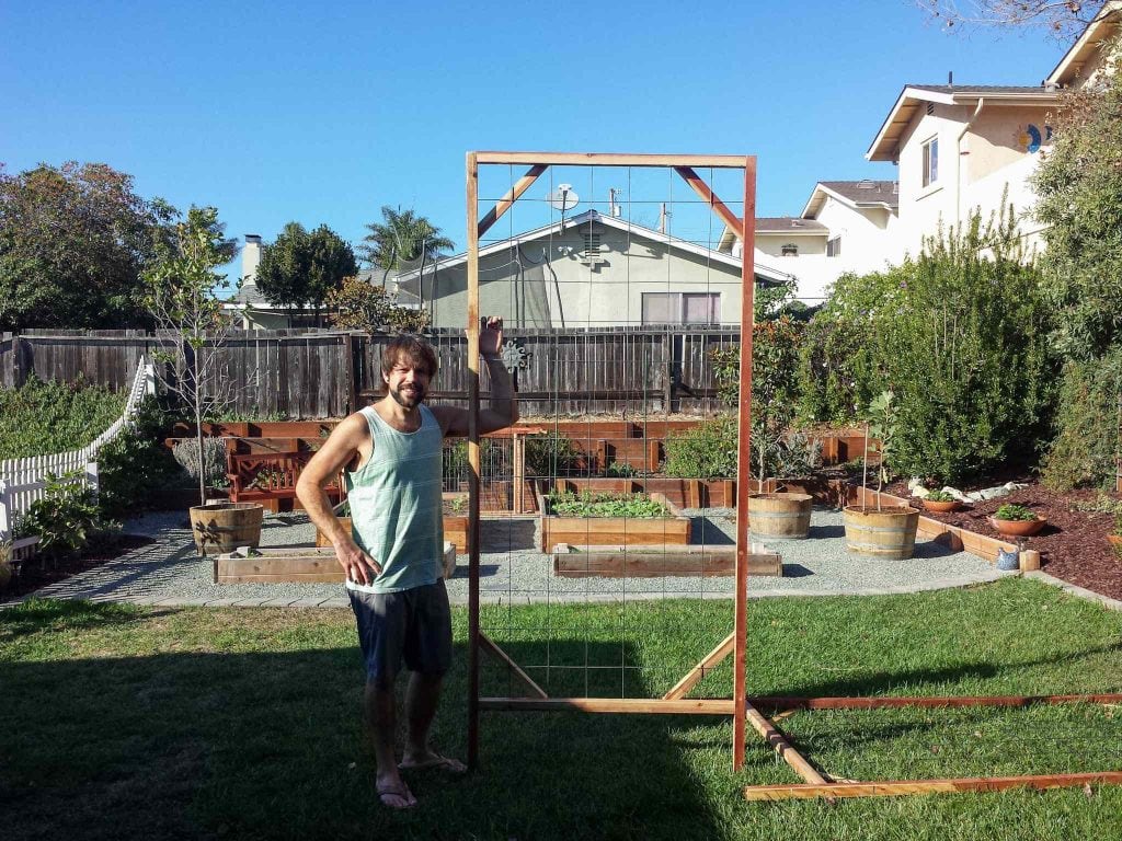 How to Build a Trellis: Inexpensive & Easy Designs ~ Homestead and Chill