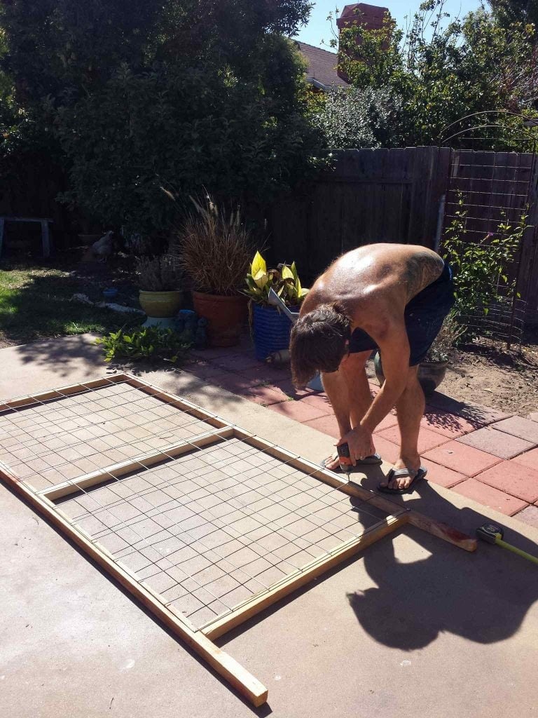 How to Build a Trellis: Inexpensive & Easy Designs ~ Homestead and Chill