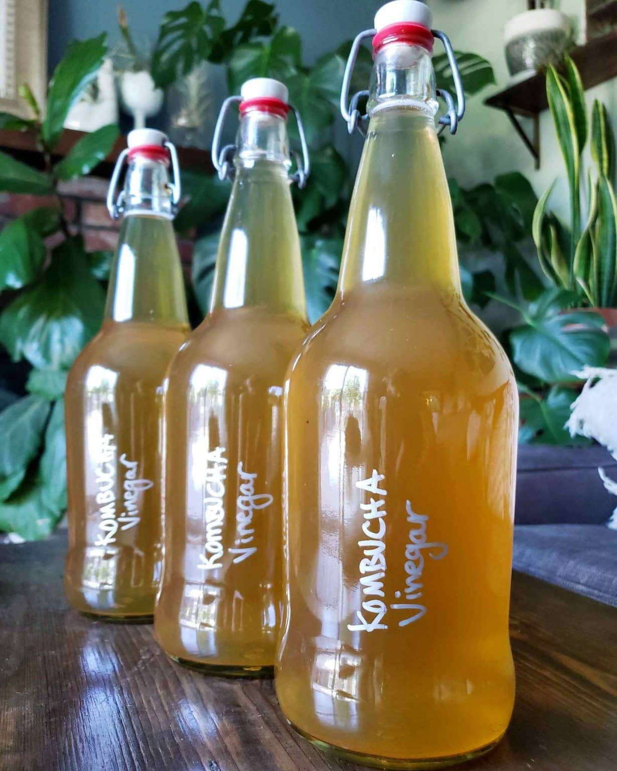 How to Make Kombucha 101: Kombucha Recipe and Brewing Basics ...