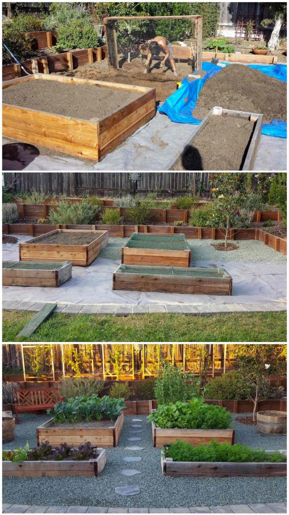 How to Start a Homestead: 9 Must-Read Tips for New Homesteaders ...