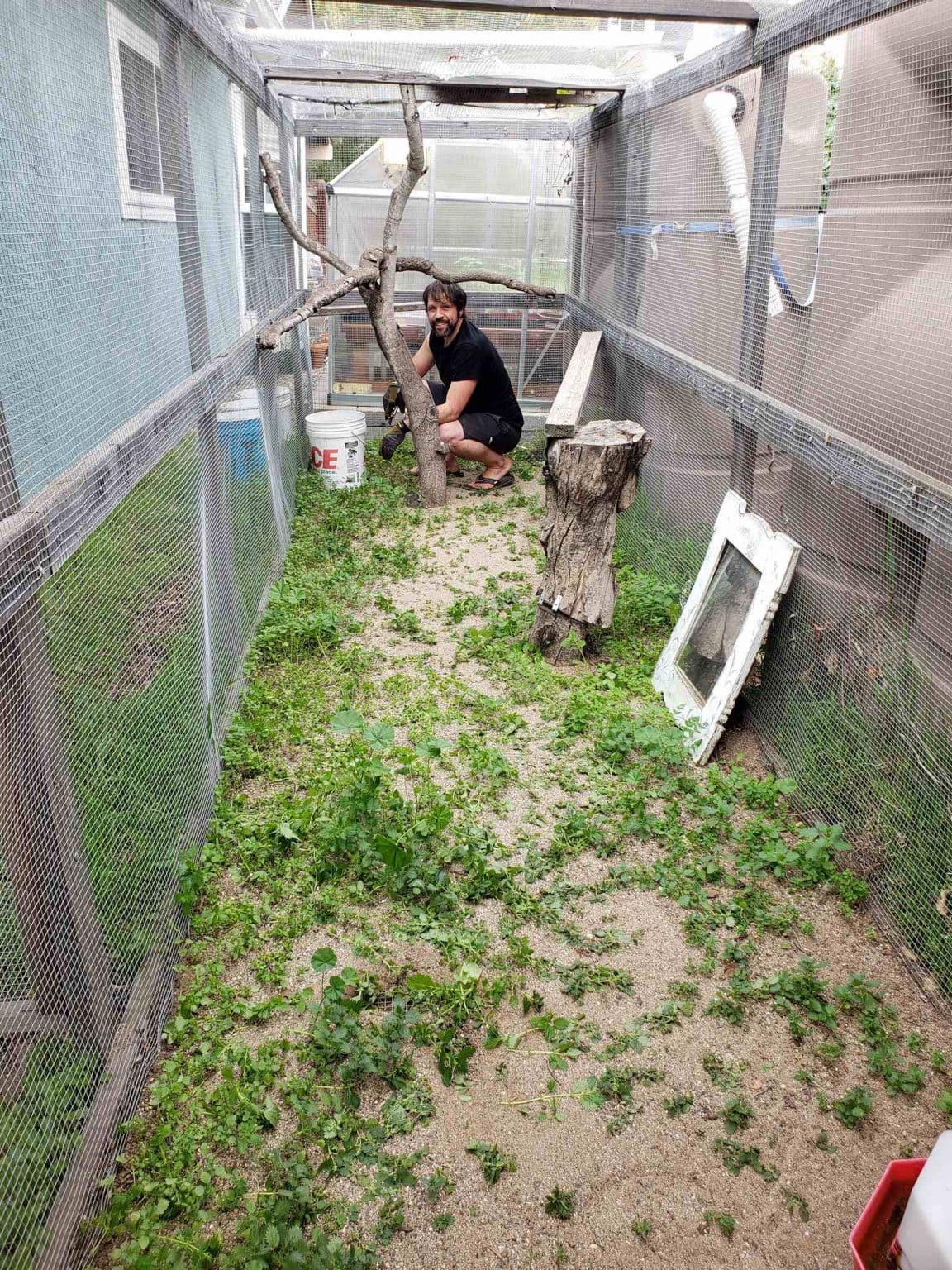 How to Make Stinging Nettle Fertilizer Tea to Feed Plants ~ Homestead ...