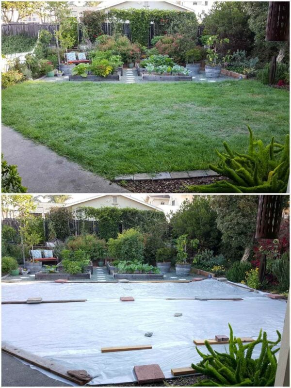 How to Kill or Remove Grass (& Grow Food Not Lawns!) ~ Homestead and Chill