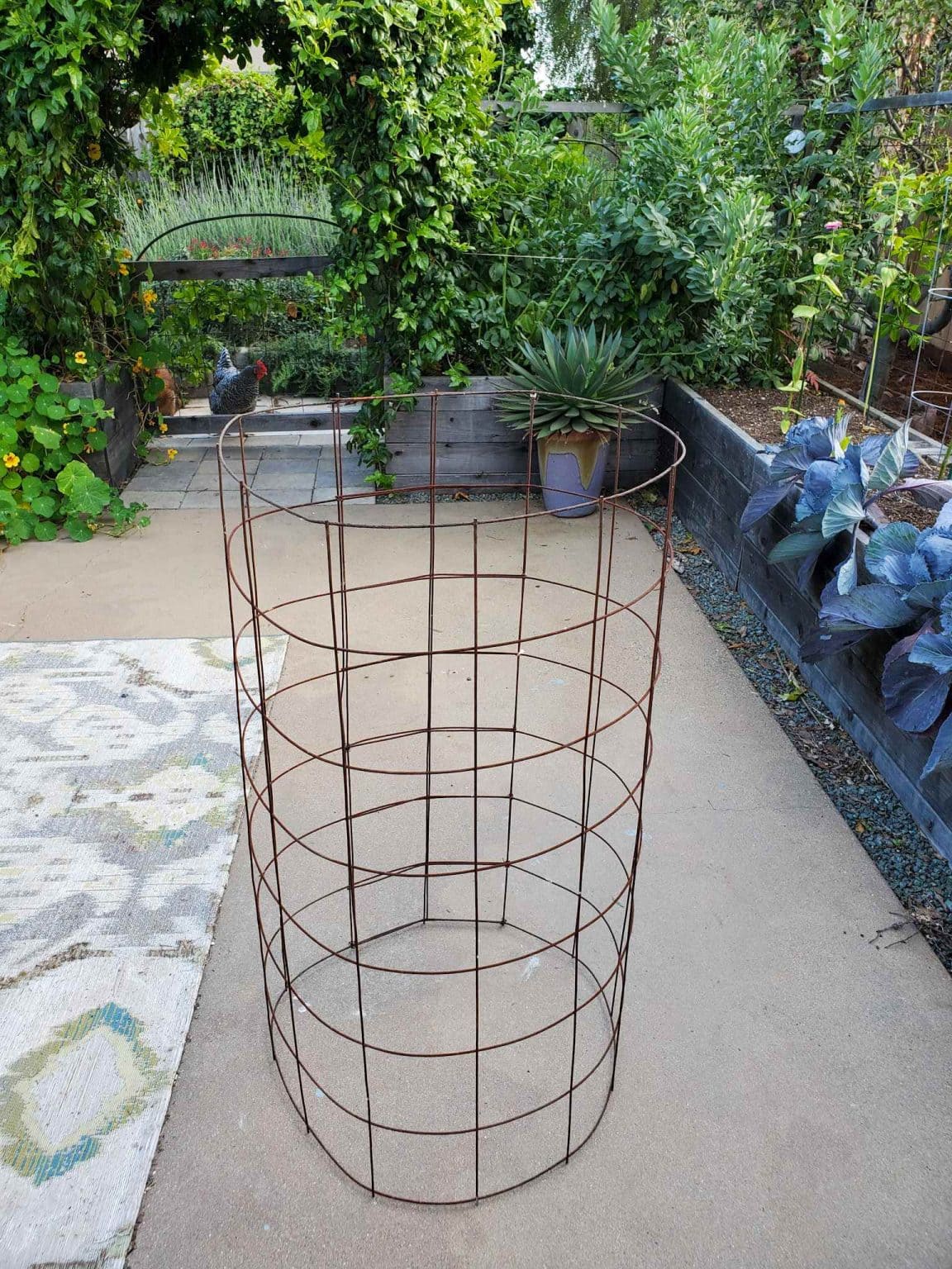 How to Make a DIY Tomato Cage: Sturdy, Easy & Cheap! ~ Homestead and Chill