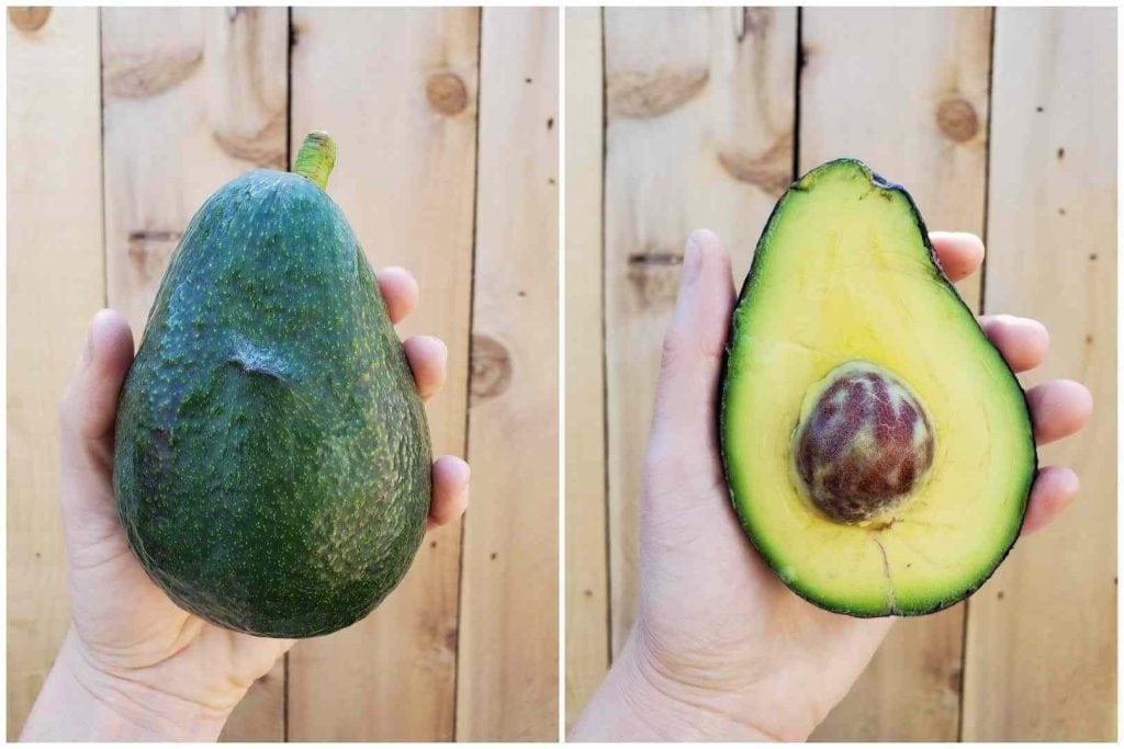 20 Awesome Avocado Varieties (Type A & Type B Avocados Explained ...