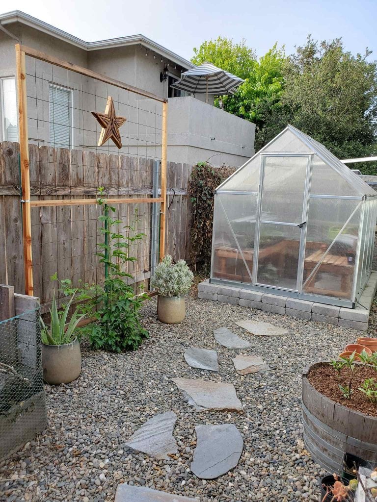 How to Build a Trellis: Inexpensive & Easy Designs ~ Homestead and Chill