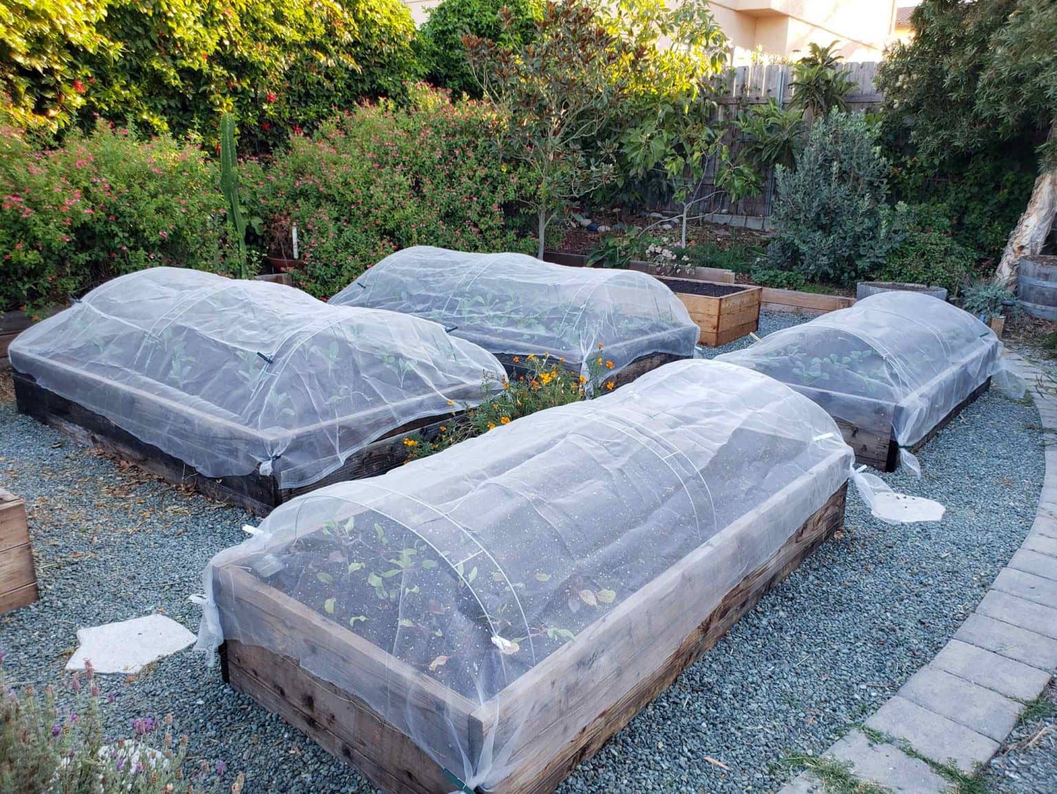 Garden Hoops and Row Covers for Pest Control, Shade & Frost Protection ...