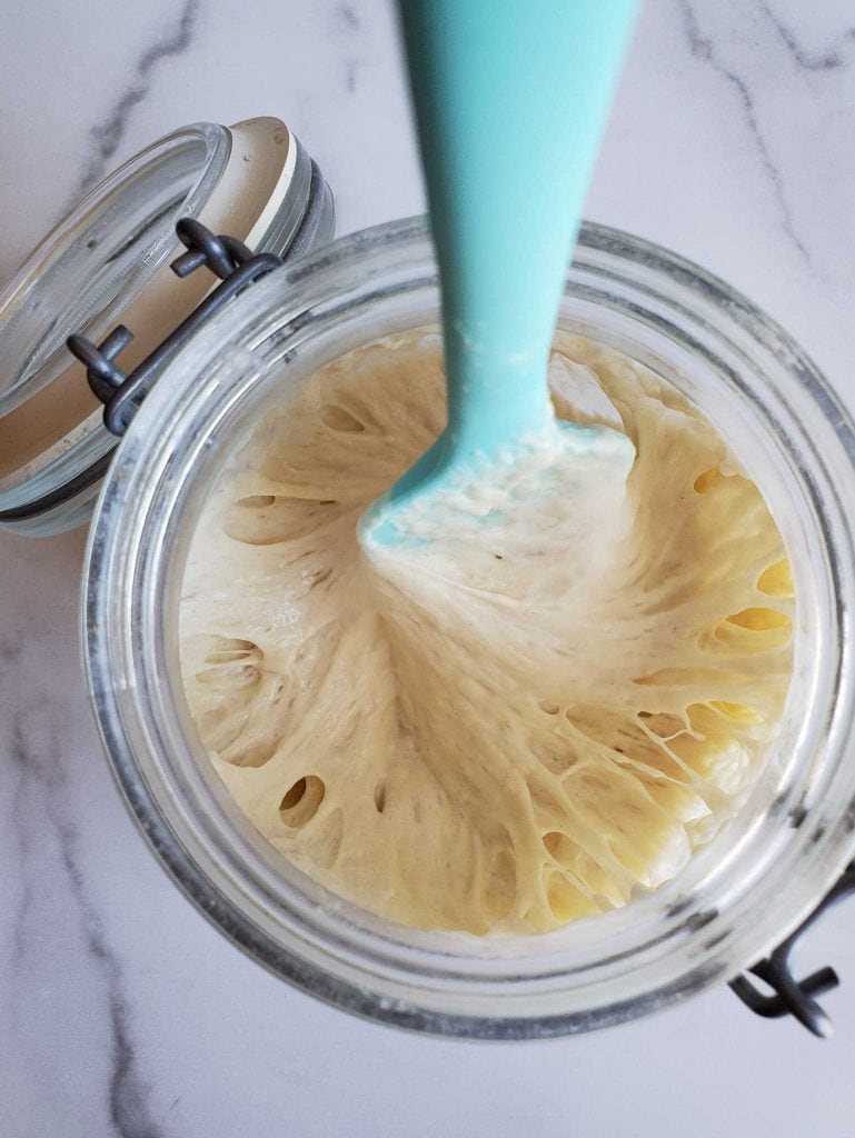 How to Reactivate a Dry (Dehydrated) Sourdough Starter: Easy Step-By ...