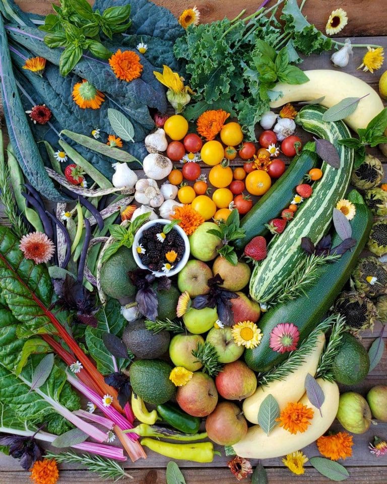 10 Ways to Help Pollinators: Save Bees, Butterflies & Beyond ...